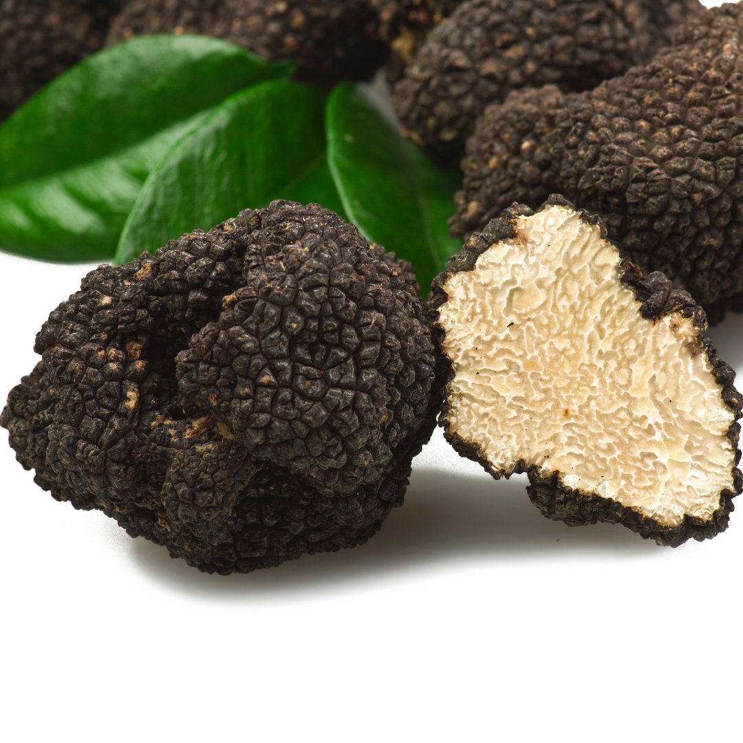 Trufa Fresca de Temporada – Novandi Gourmet