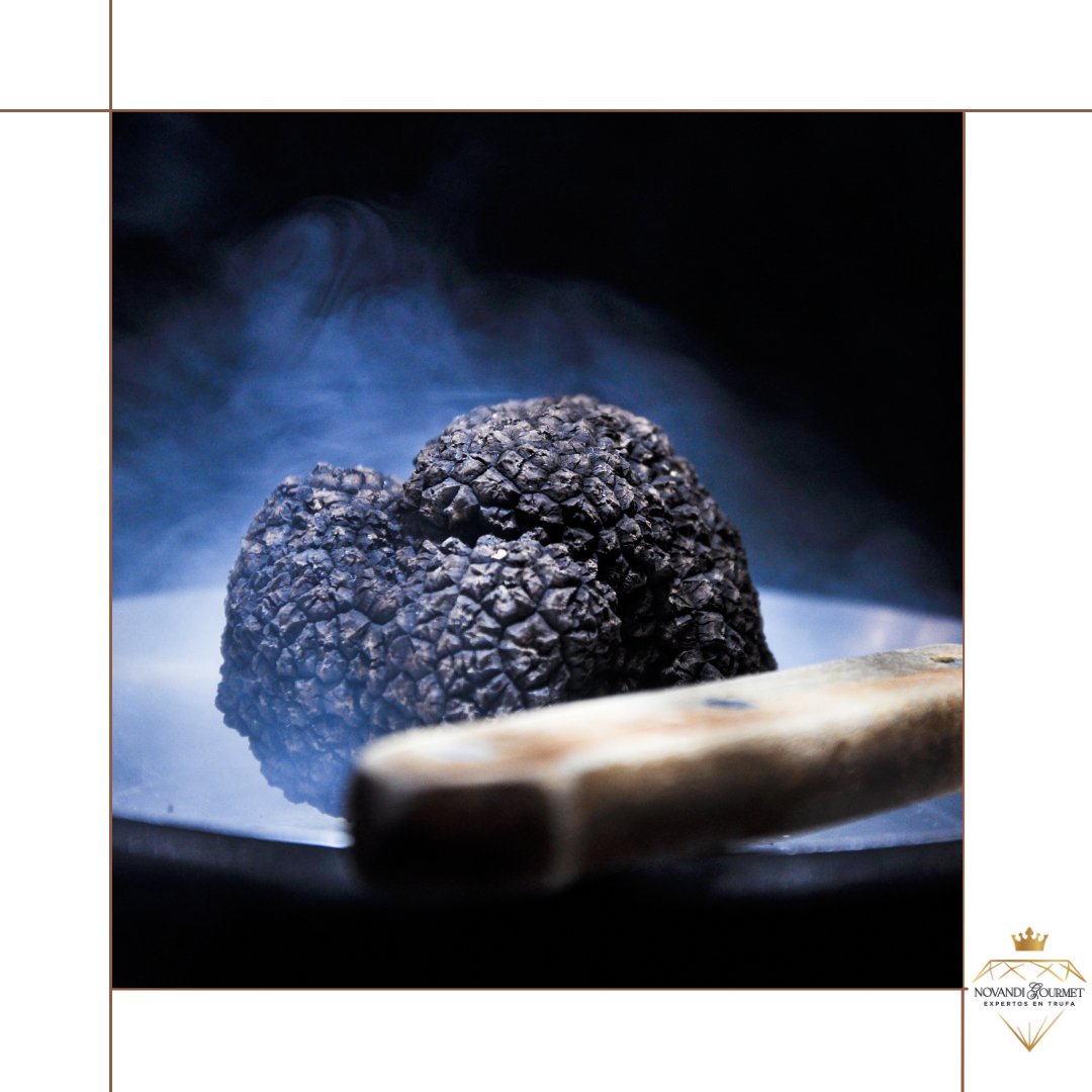 Trufa Negra de Invierno (Tuber Melanosporum) – Novandi Gourmet
